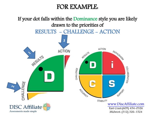 DISC Personalty Assessments - Your Key to Professional Success | PDF