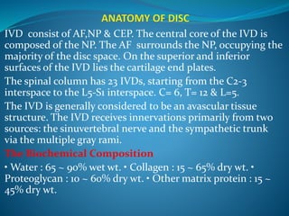 Disc prolaps and rehabilitation | PPTX