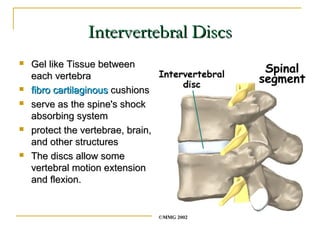 Disc prolapse and degenerative changes | PPT