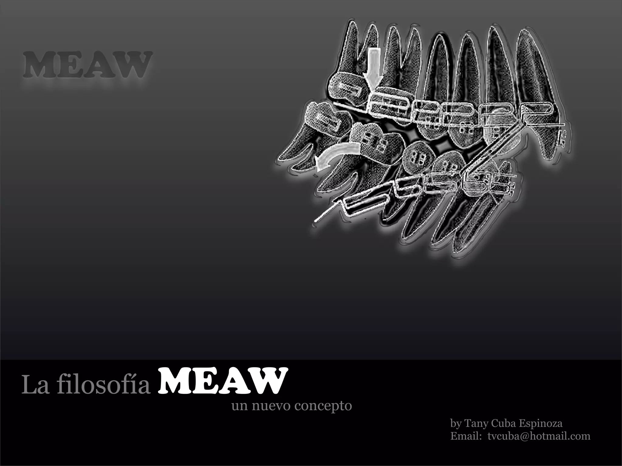 MEAW 3 | PDF