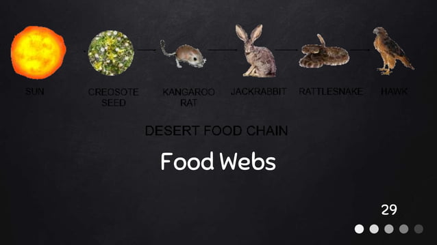 Application of Discrete mathematics in Real Life | PPT