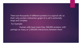 Protein Interaction Graph | PPTX