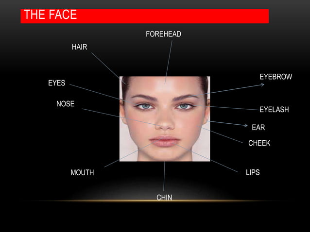 Describing face | PPT
