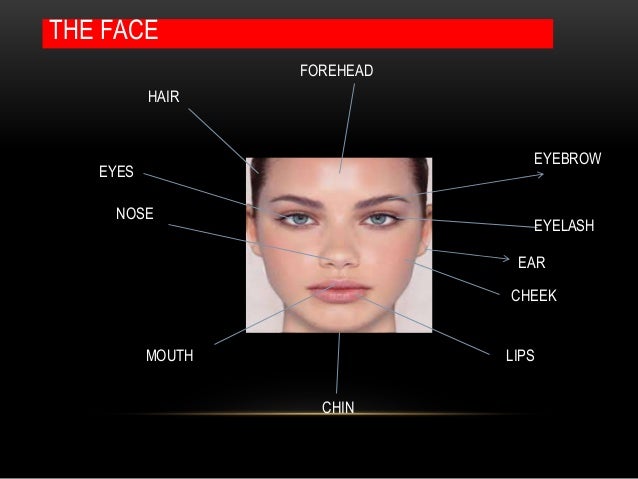 Describing face
