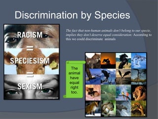 Stereotypes, Prejudice and Discrimination in Psychology | PPTX