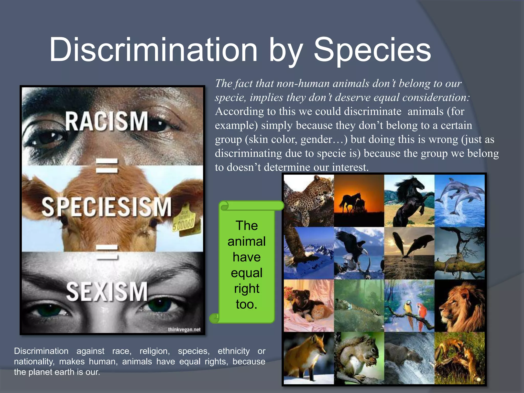 Discrimination | PPTX