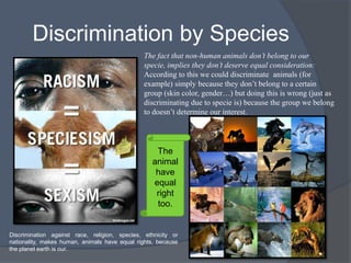 Discrimination | PPTX