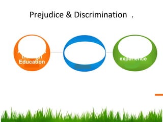 Discrimination and prejudice | PPT