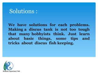 Discus keeping for beginners | PPTX