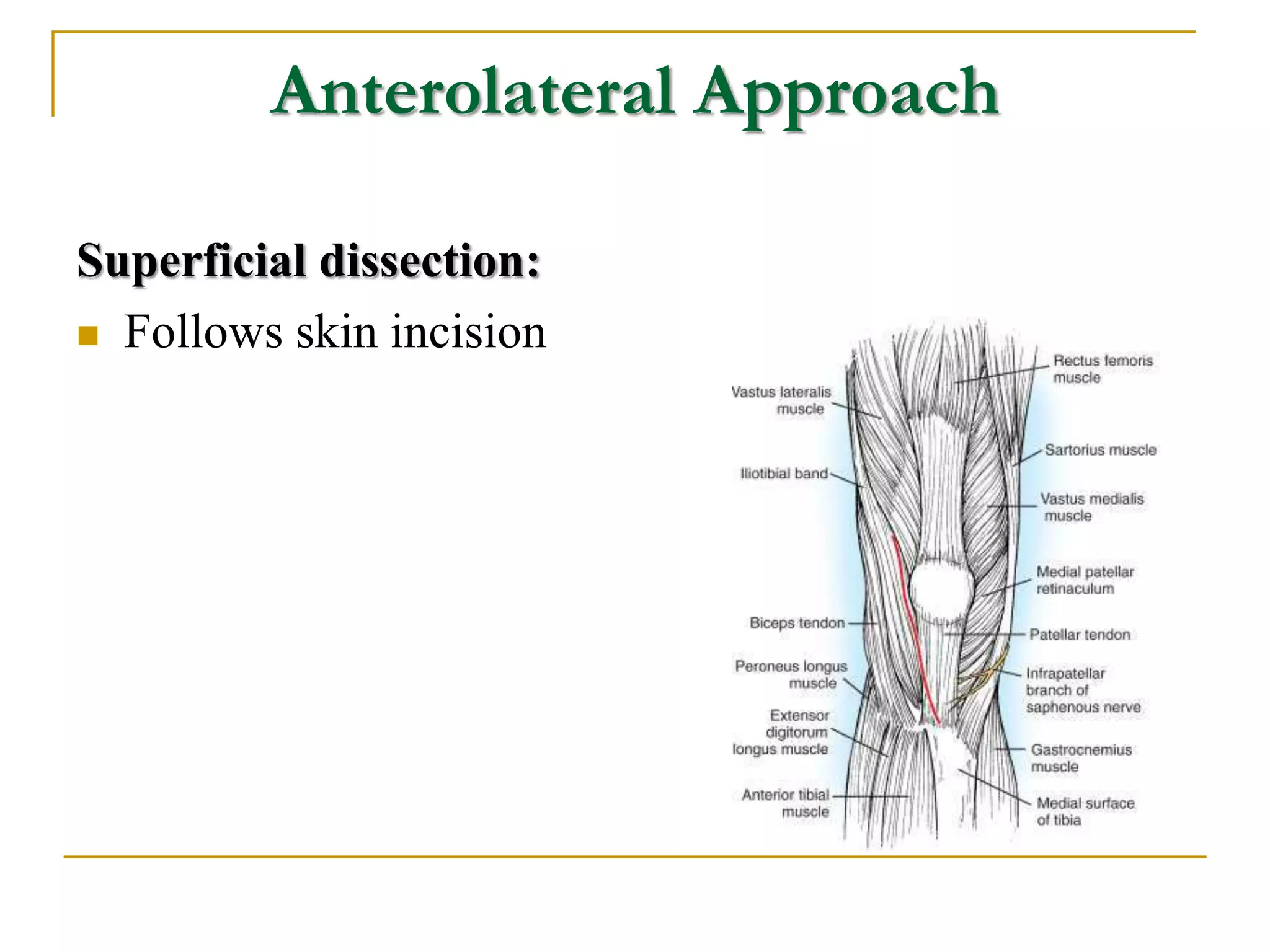 Discuss approaches to the knee and Describe in detail TKR | PPTX