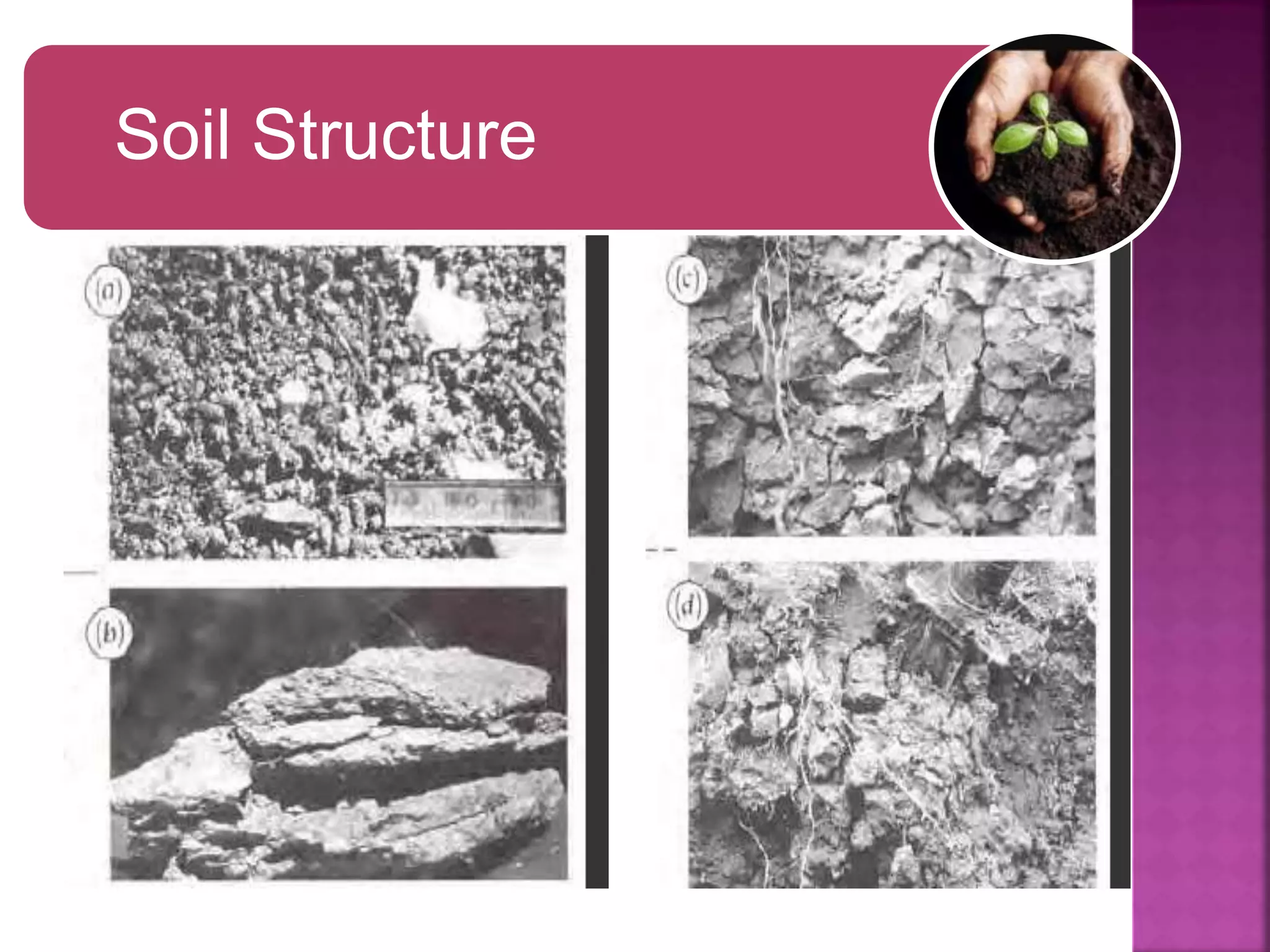 Bio-Physico- Chemical Properties of Soil | PPTX