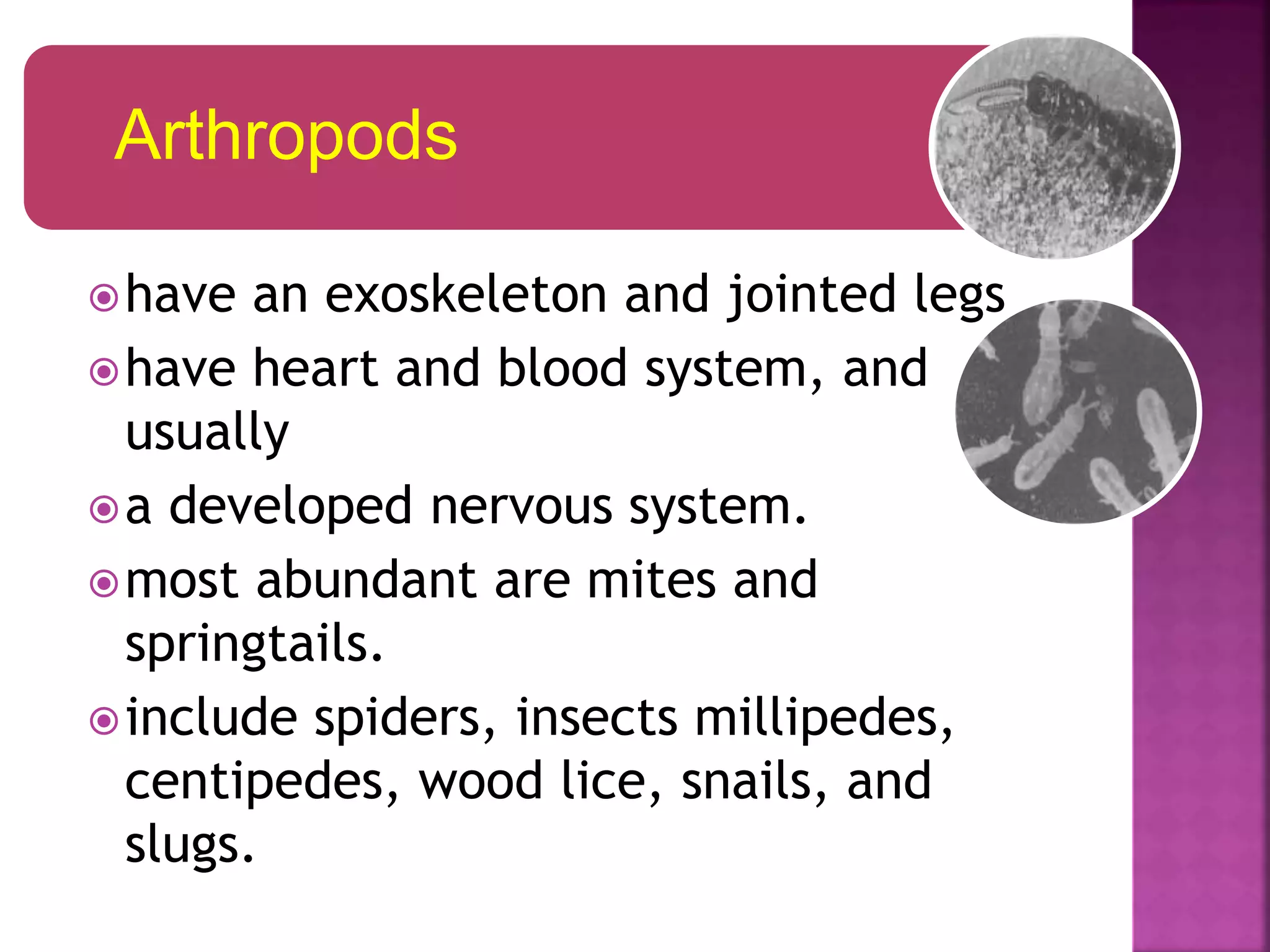Bio-Physico- Chemical Properties of Soil | PPTX