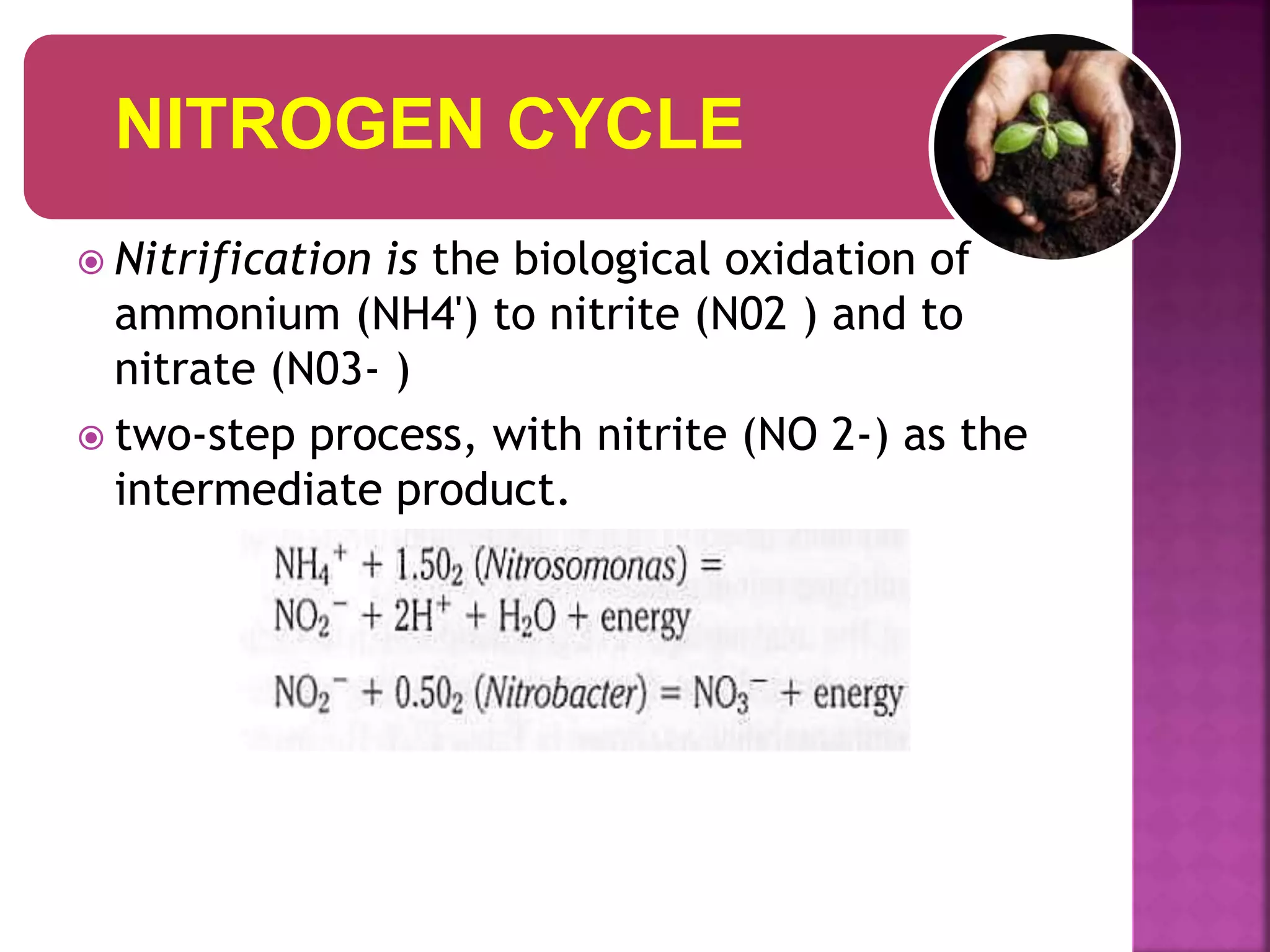 Bio-Physico- Chemical Properties of Soil | PPTX