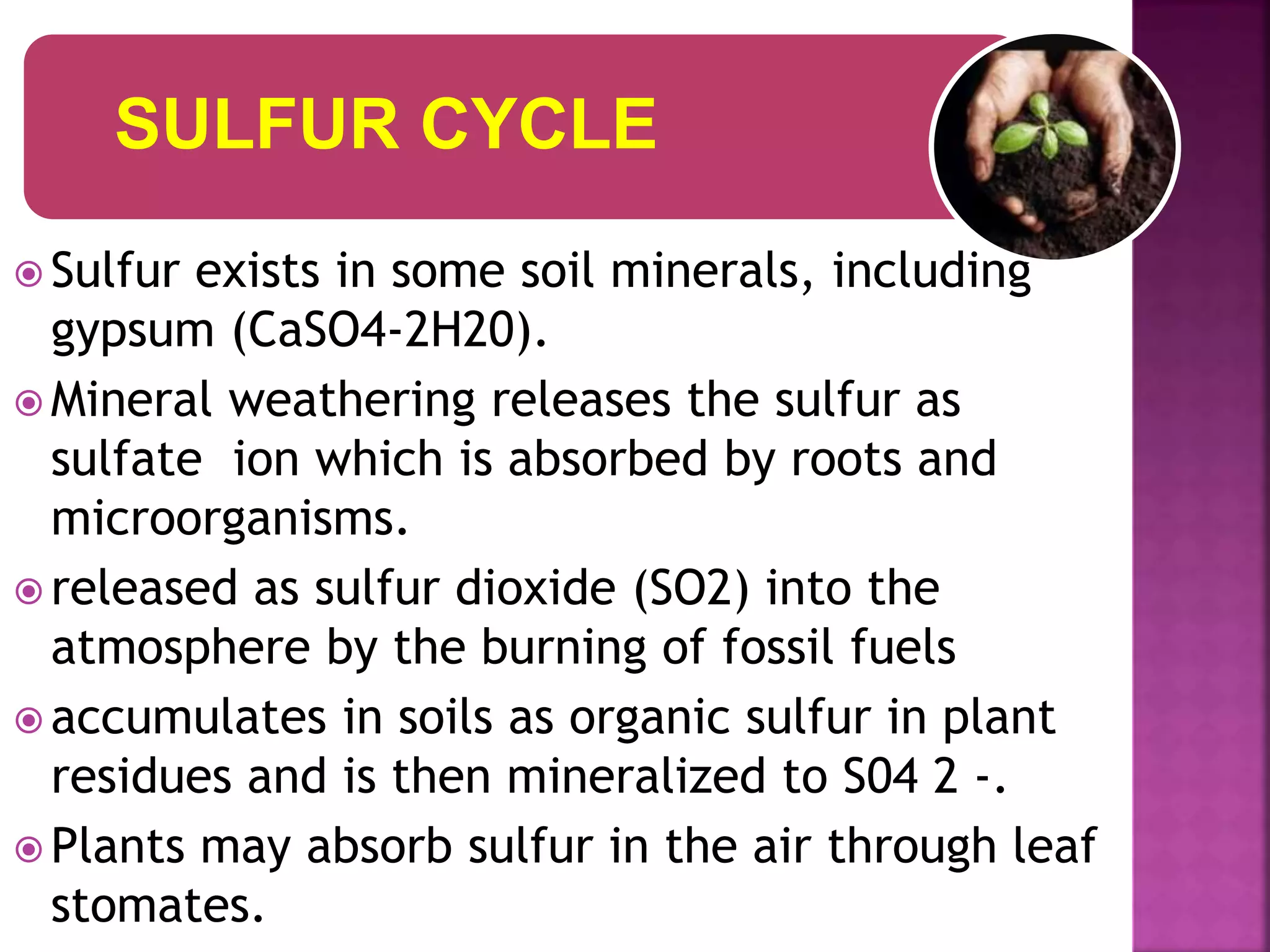 Bio-Physico- Chemical Properties of Soil | PPTX