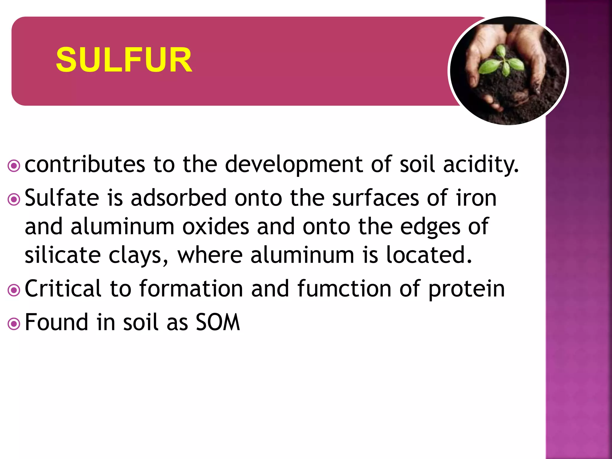 Bio-Physico- Chemical Properties of Soil | PPTX