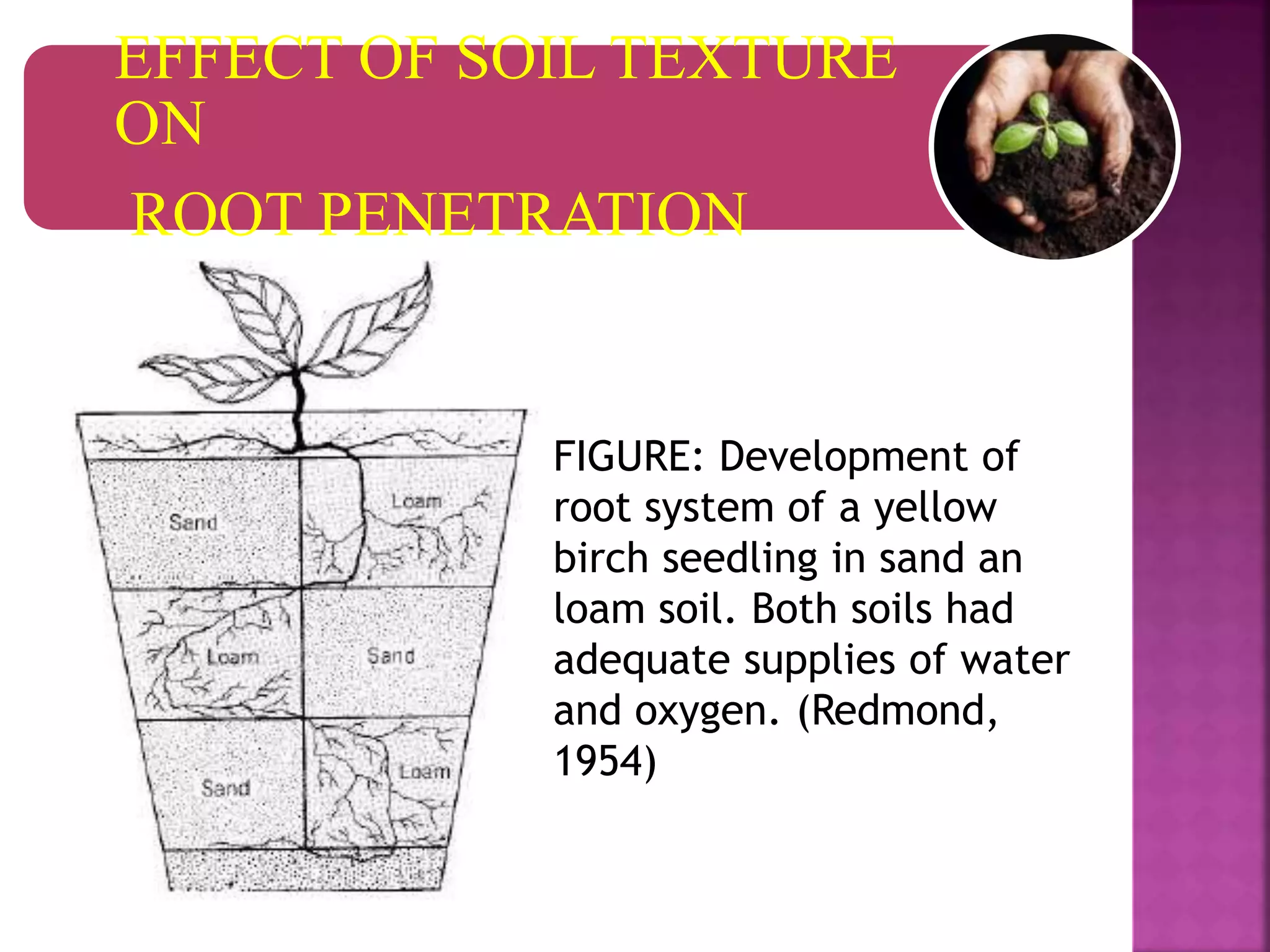 Bio-Physico- Chemical Properties of Soil | PPTX