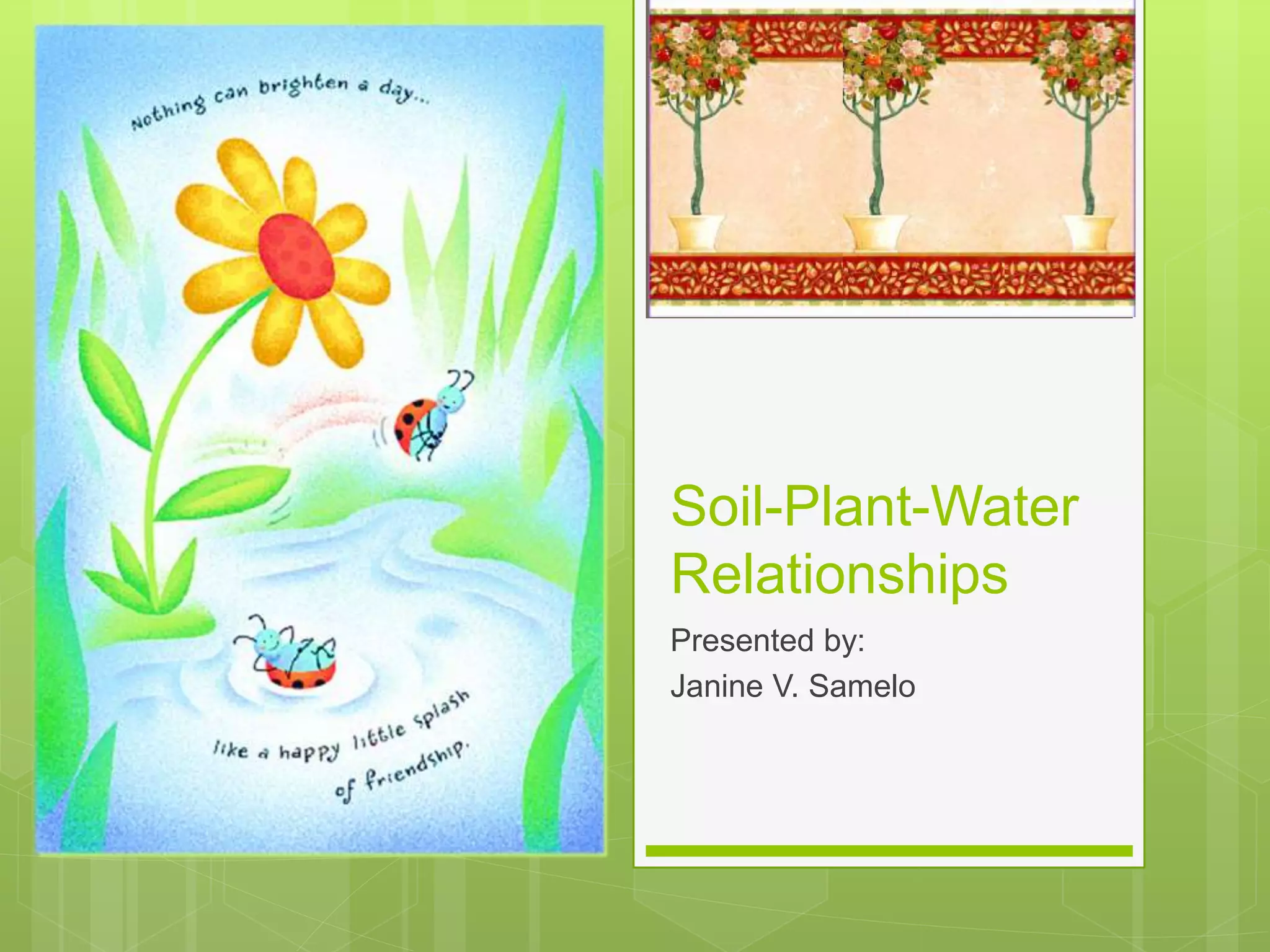 Soil- Plant- Water Relationships | PPTX