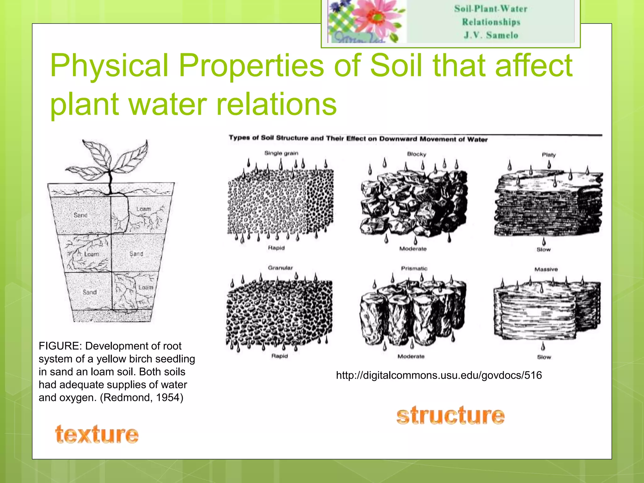 Soil- Plant- Water Relationships | PPTX