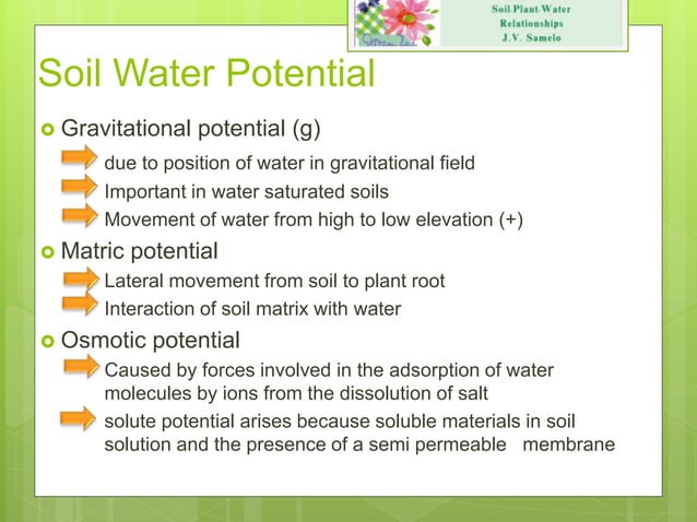 Soil- Plant- Water Relationships | PPTX