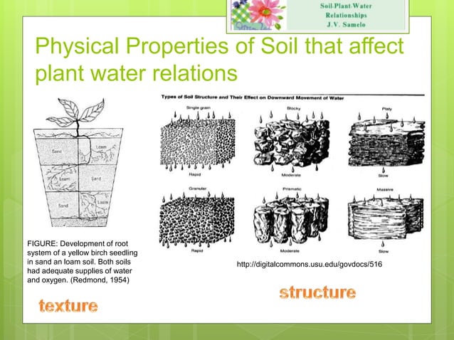 Soil- Plant- Water Relationships | PPTX