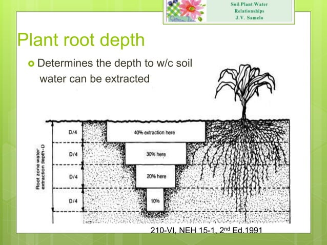 Soil- Plant- Water Relationships | PPTX