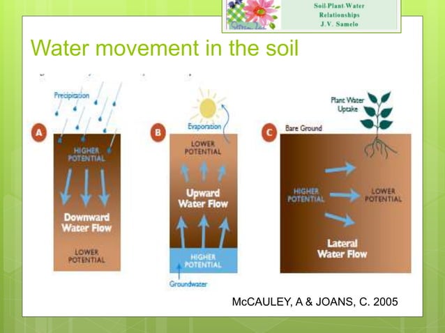 Soil- Plant- Water Relationships | PPTX