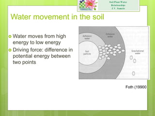 Soil- Plant- Water Relationships | PPTX