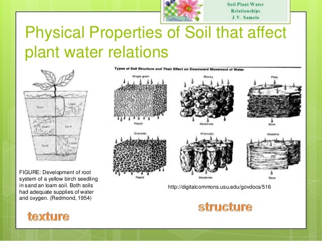 Soil- Plant- Water Relationships