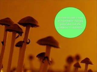 PCP Psychedelic Therapy Presentation | PPS