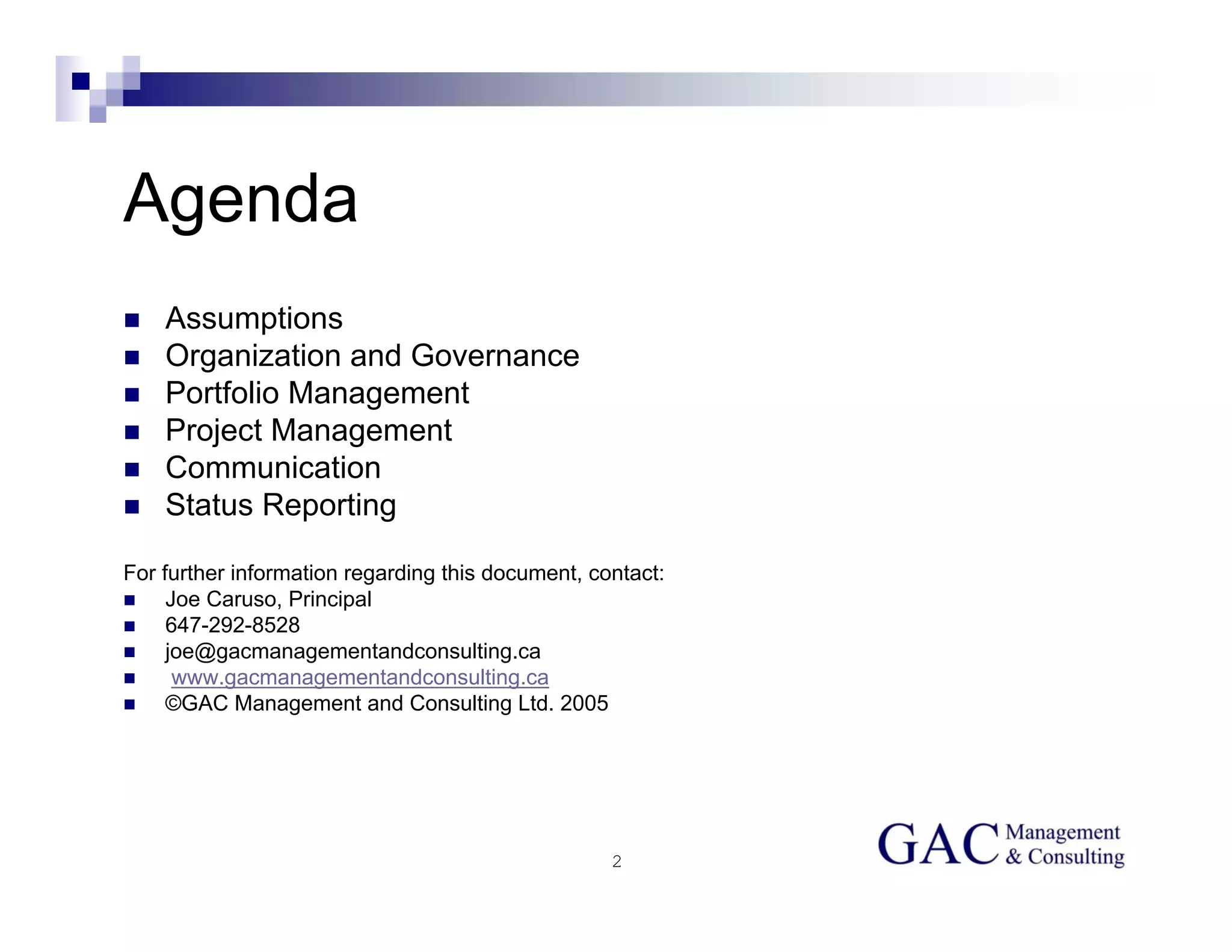 Discussion Paper PMO And Merger Projects | PDF