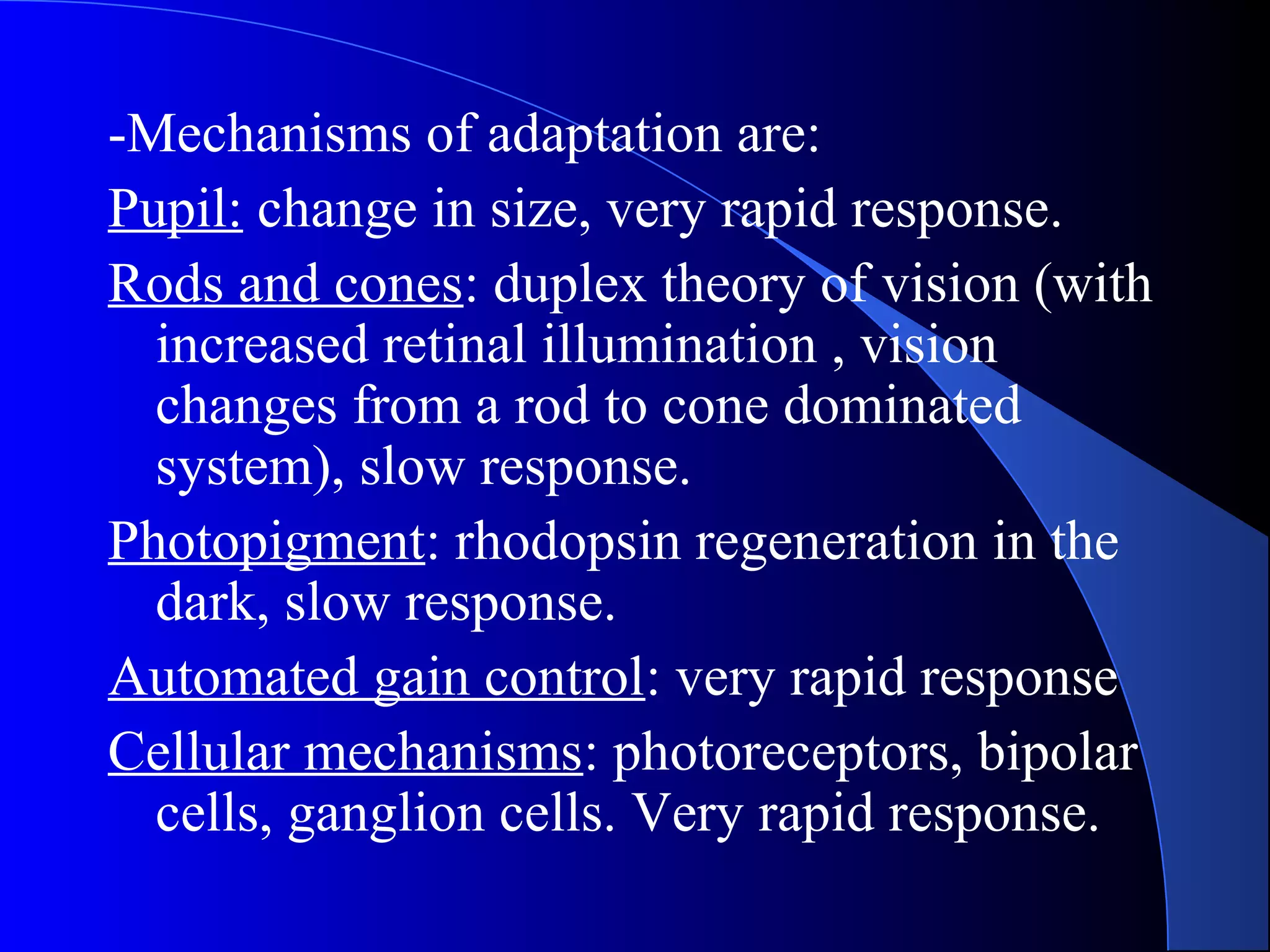 Discuss Night Blindness! | PPT