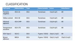 Comprehensive Overview of Oculocutaneous Albinism: Genetics, Clinical ...