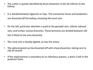 Discuss the operation of simple nephrectomy | PPTX