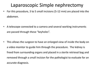 Discuss the operation of simple nephrectomy | PPTX