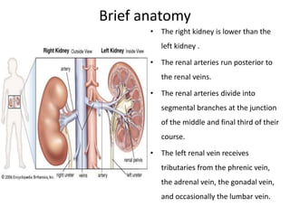 Discuss the operation of simple nephrectomy | PPTX
