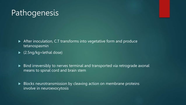 DISCUSS THE PATHOGENESIS,CLINICAL PRESENTATION OF TETANUS.ADD A NOTE ON ...
