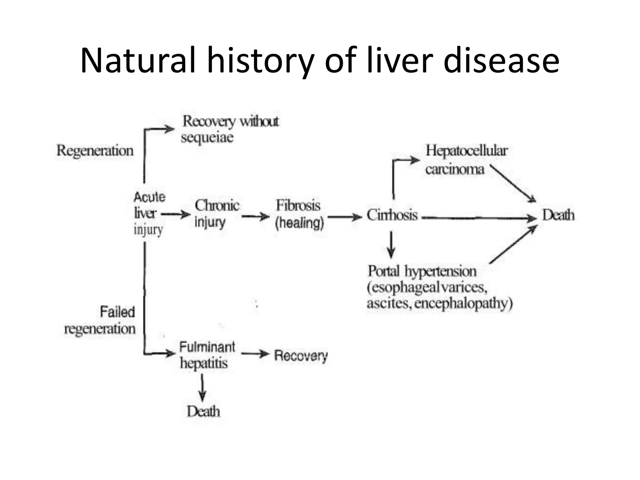 The pathogenesis of liver cirrhosis and fibrosis | PPTX