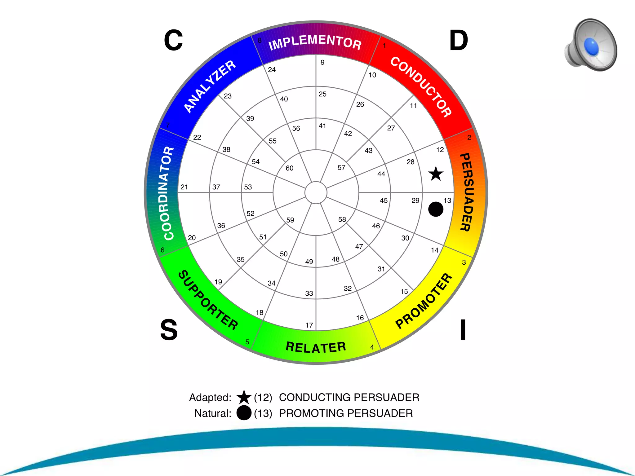 DiSC Profile Insight: DiSC Walkthrough | PPTX