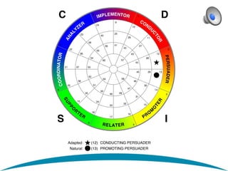 DiSC Profile Insight: DiSC Walkthrough | PPTX