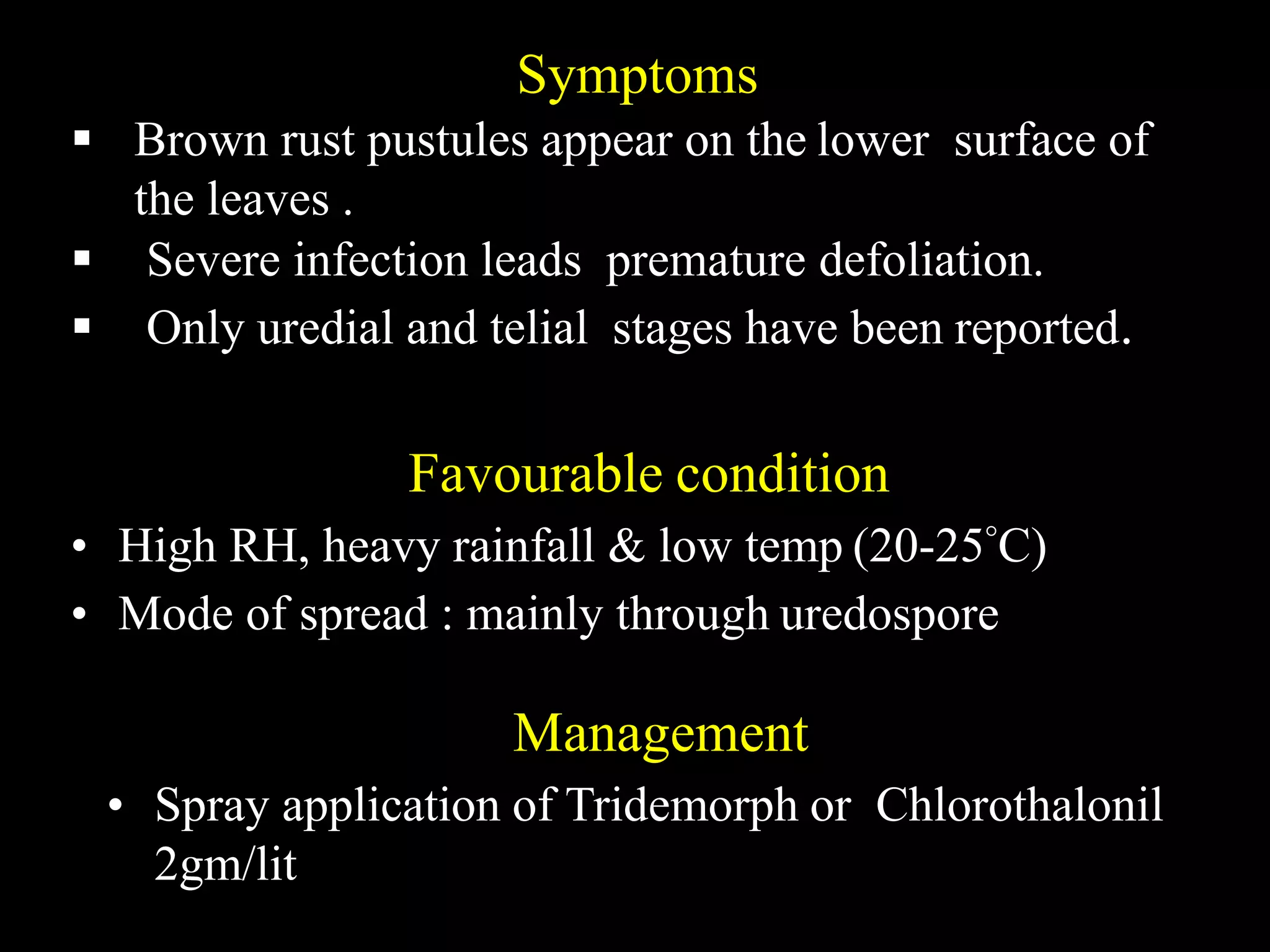 DISEAES OF GROUNDNUT.pptx