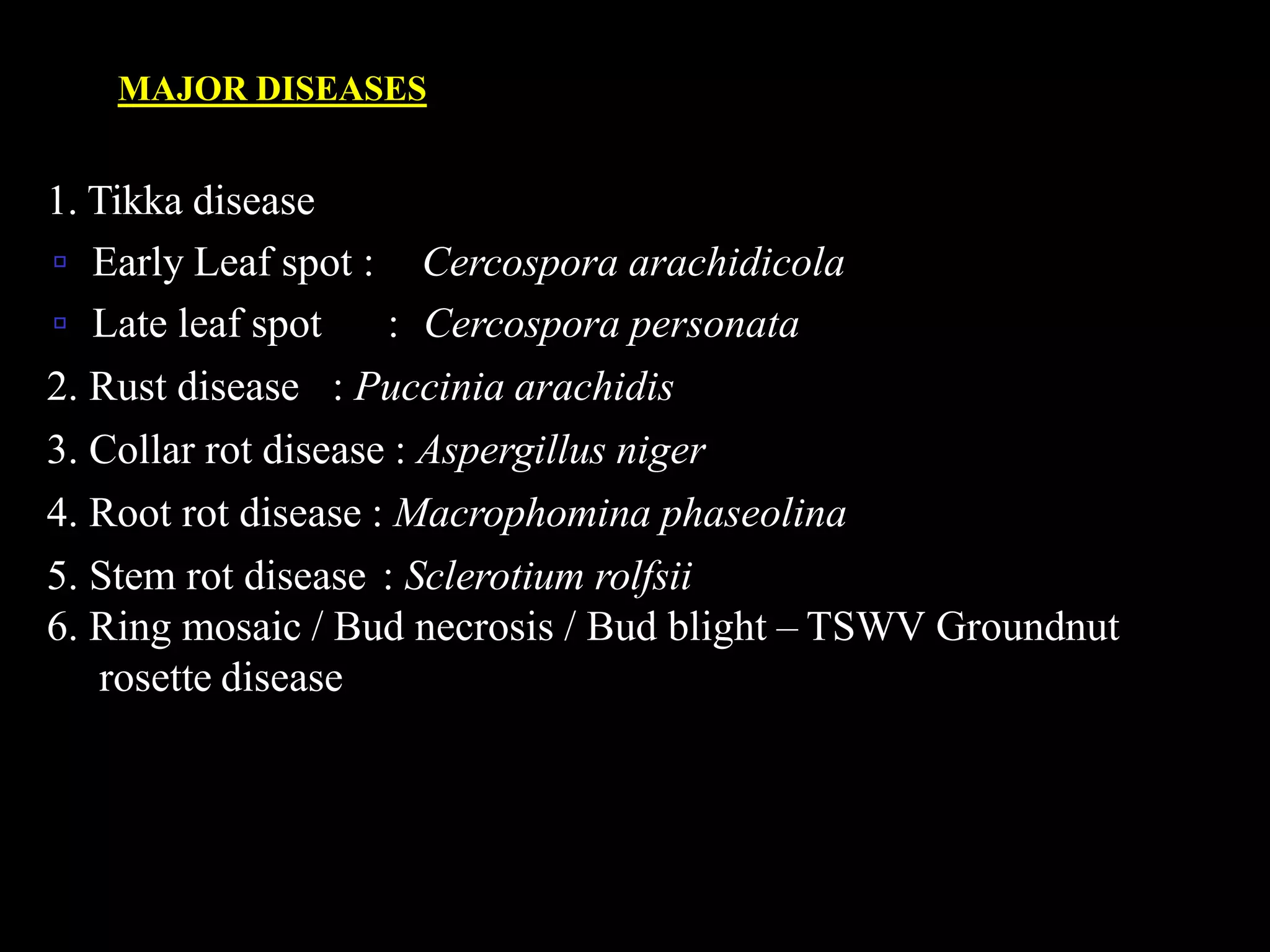DISEAES OF GROUNDNUT.pptx