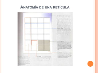 Diseñar con o sin reticula | PPSX