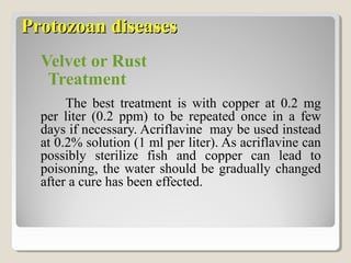 Disease 10 opt | PPT | Zoos & Aquariums | Attractions