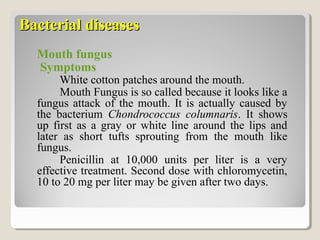 Disease 10 opt | PPT | Zoos & Aquariums | Attractions