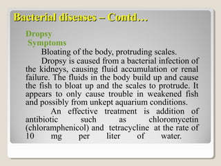 Disease 10 opt | PPT | Zoos & Aquariums | Attractions
