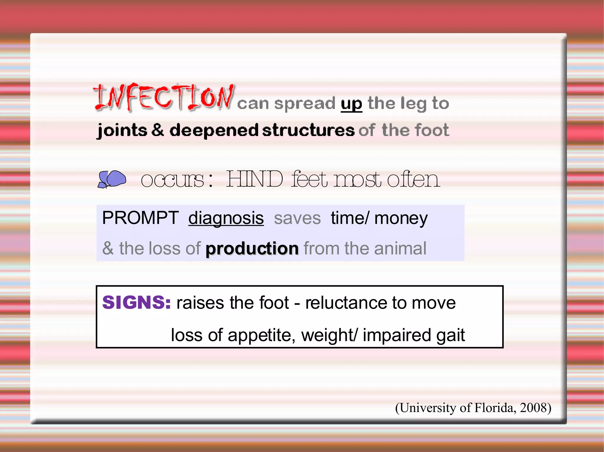Disease Process in Animals: Foot Rot in Cattle | PPT