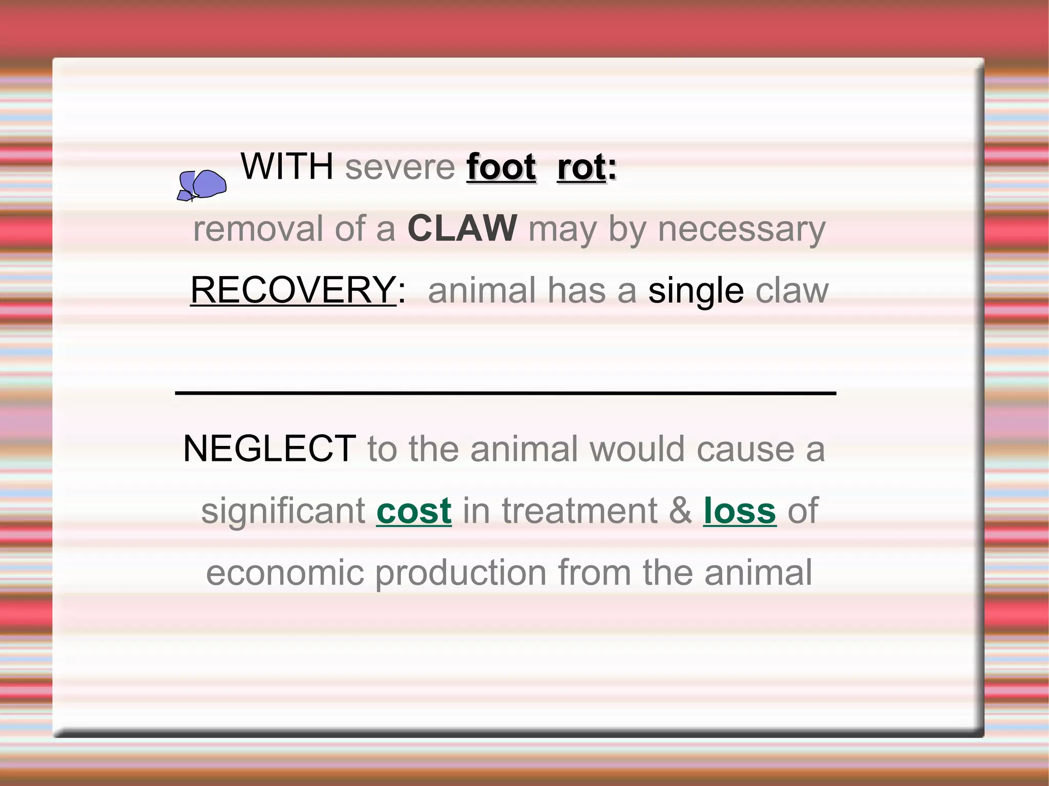 Disease Process in Animals: Foot Rot in Cattle | PPT