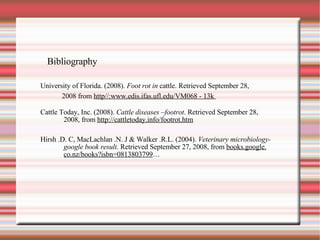 Disease Process in Animals: Foot Rot in Cattle | PPT