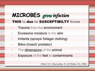 Disease Process in Animals: Foot Rot in Cattle | PPT