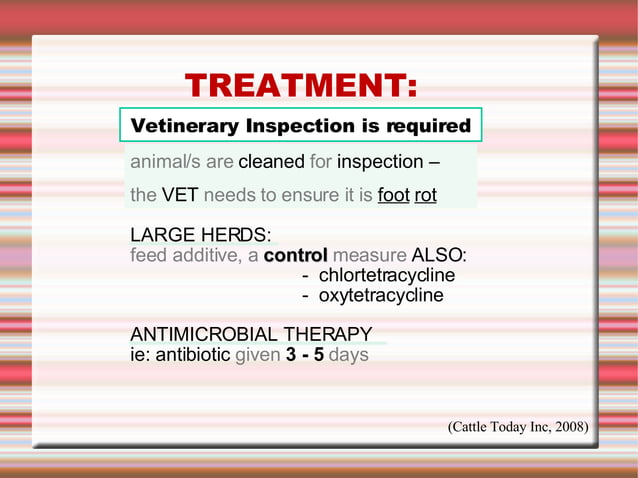 Disease Process in Animals: Foot Rot in Cattle | PPT | Foot Health ...